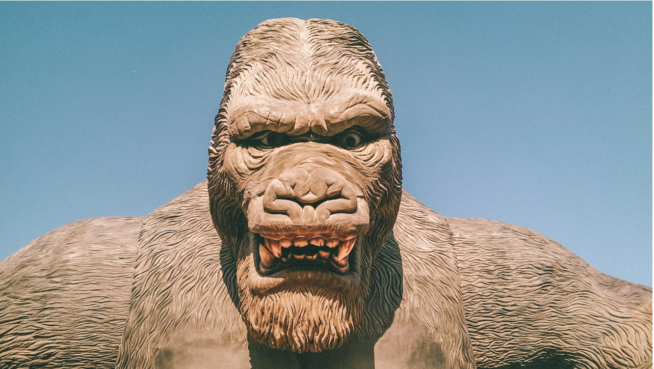 King Kong Da Vida Real #5 KING KONG Caught On Camera In Real Life