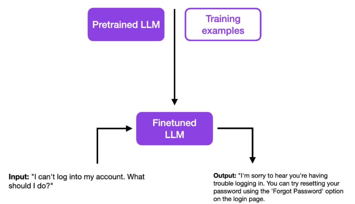 supervised fine tuning