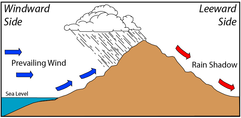 Leeward Side Of Mountain
