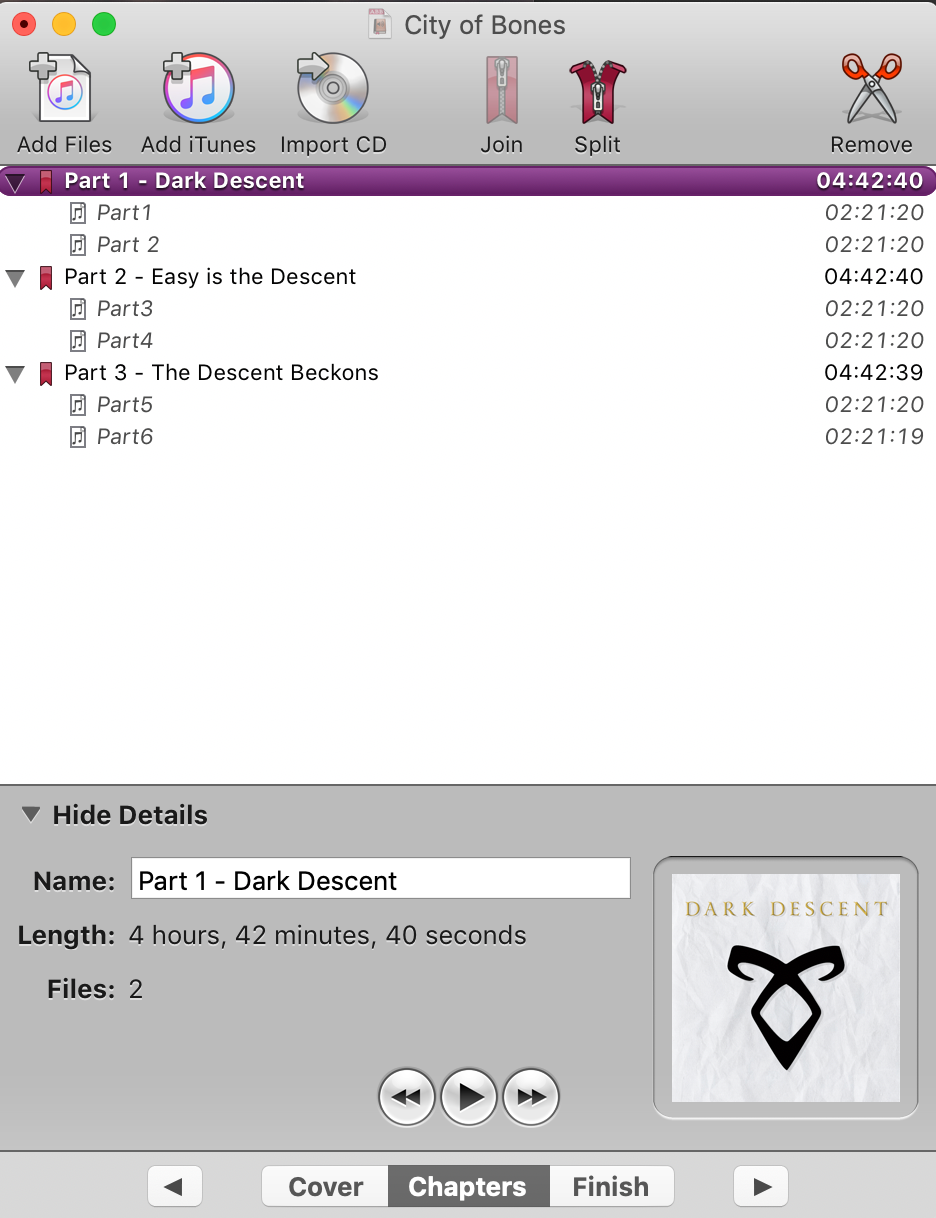 City Of Bones Audiobook