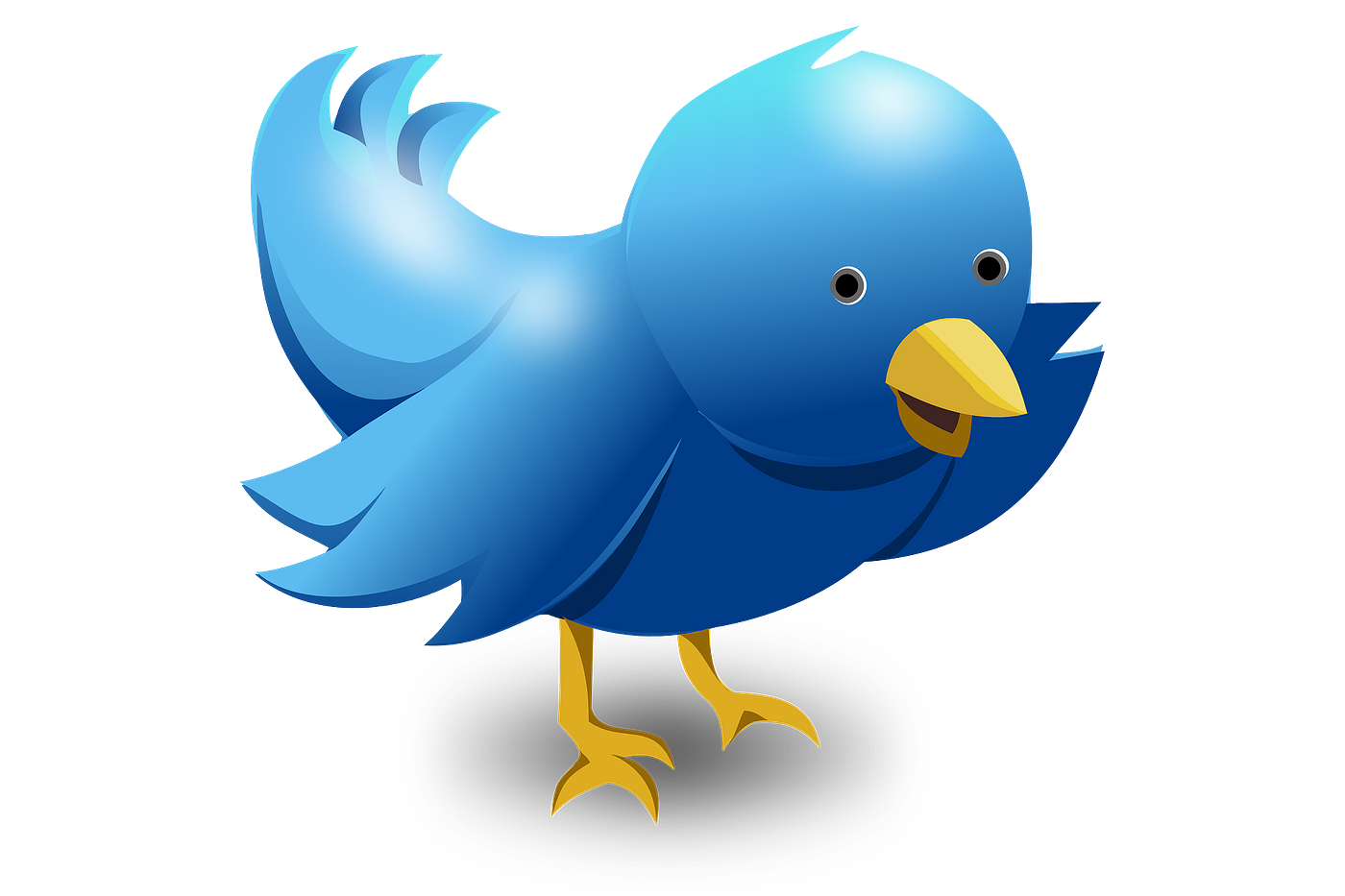Twitter Transparent Logo Png