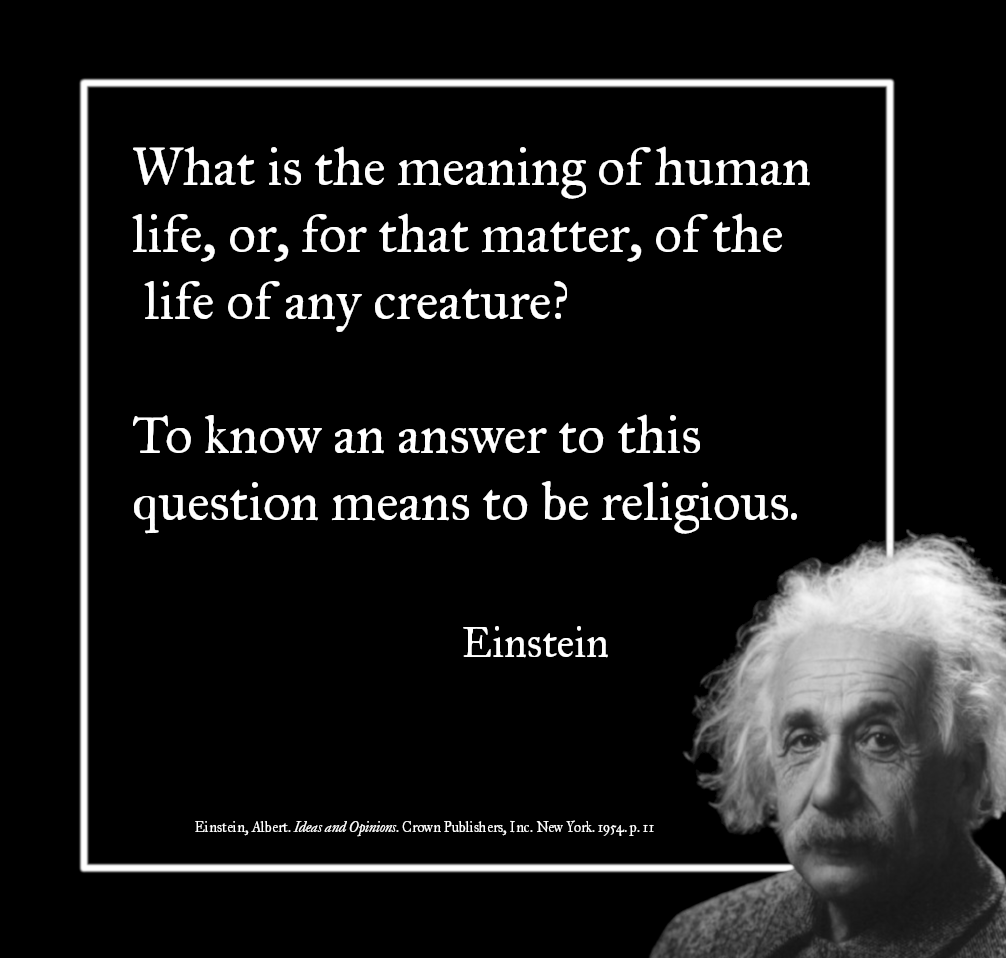 Thinkexist Science Quotes Max Planck Quote: The Pioneer Scientist Must