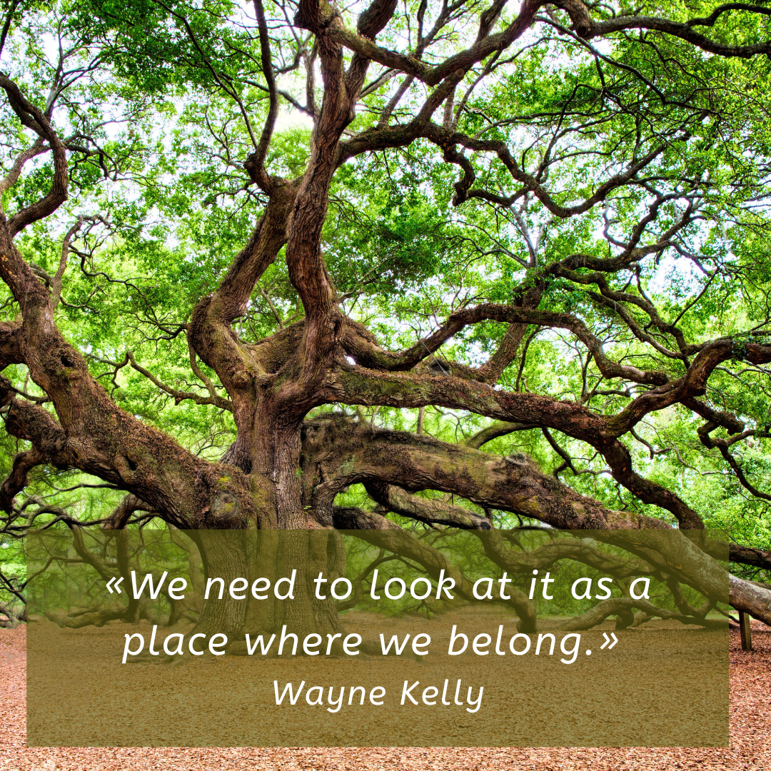 Good Aboriginal Quotes The Monday Connection: A Future With Hope