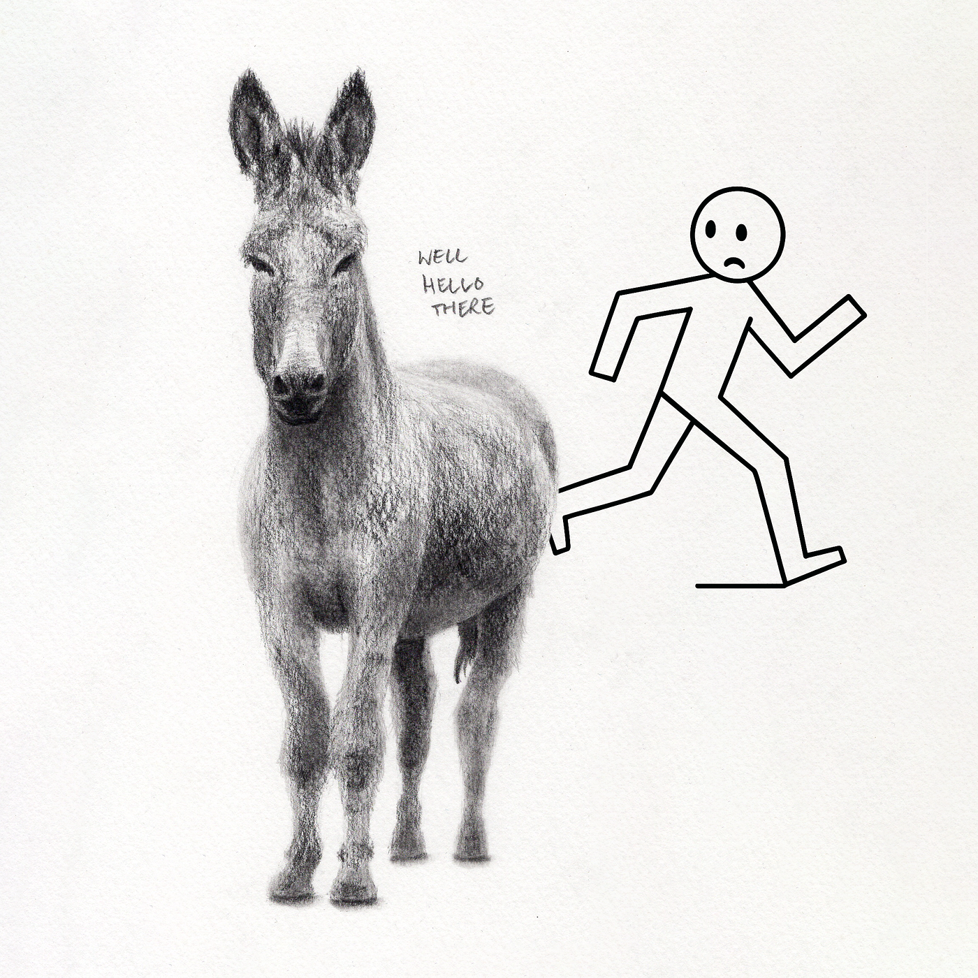 Half Donkey Half Human