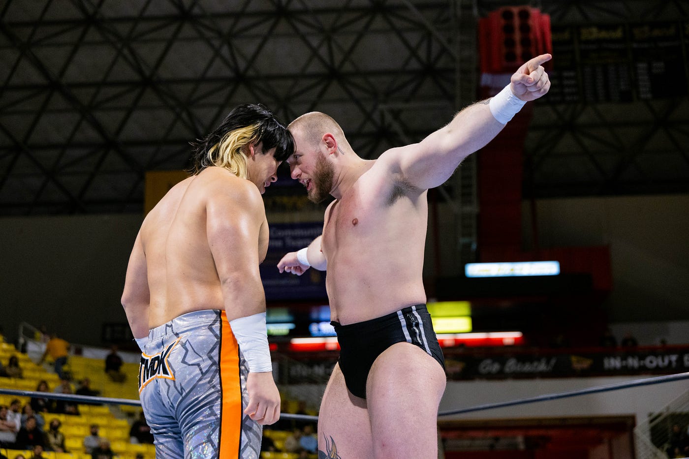NEW JAPAN PRO-WRESTLING