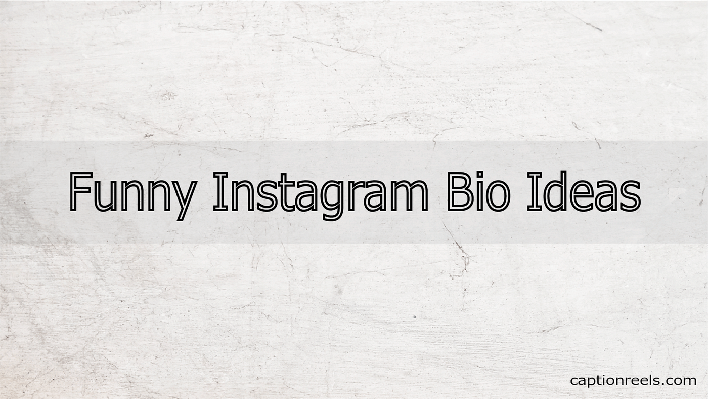Funny Instagram Bio Examples
