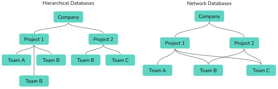 Chromosome Definition Structure Types And Composition Javatpoint PPT - Plant Cell Structure and ...