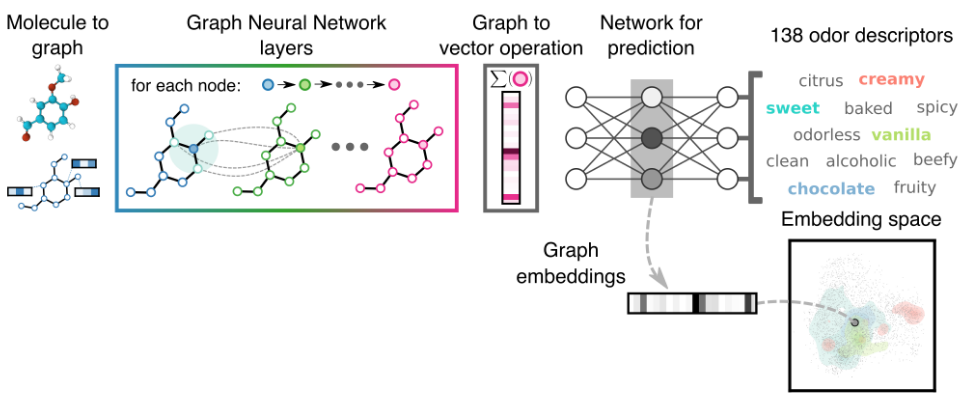 Understanding the Science of Smell with AI | by Vishal Rajput | AIGuys ...