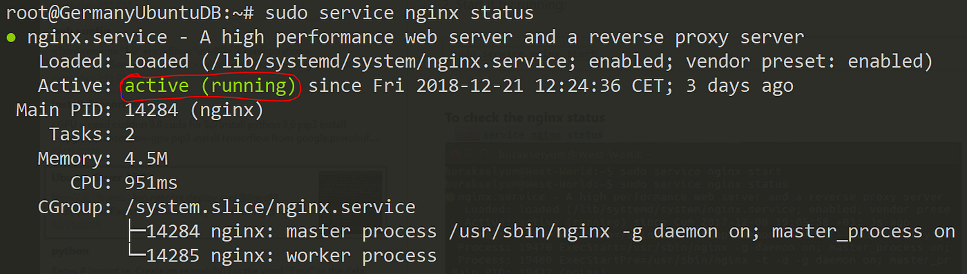 Ubuntu With Xfce Aspnet Core And Nginx Part I Hudo39s Vibe