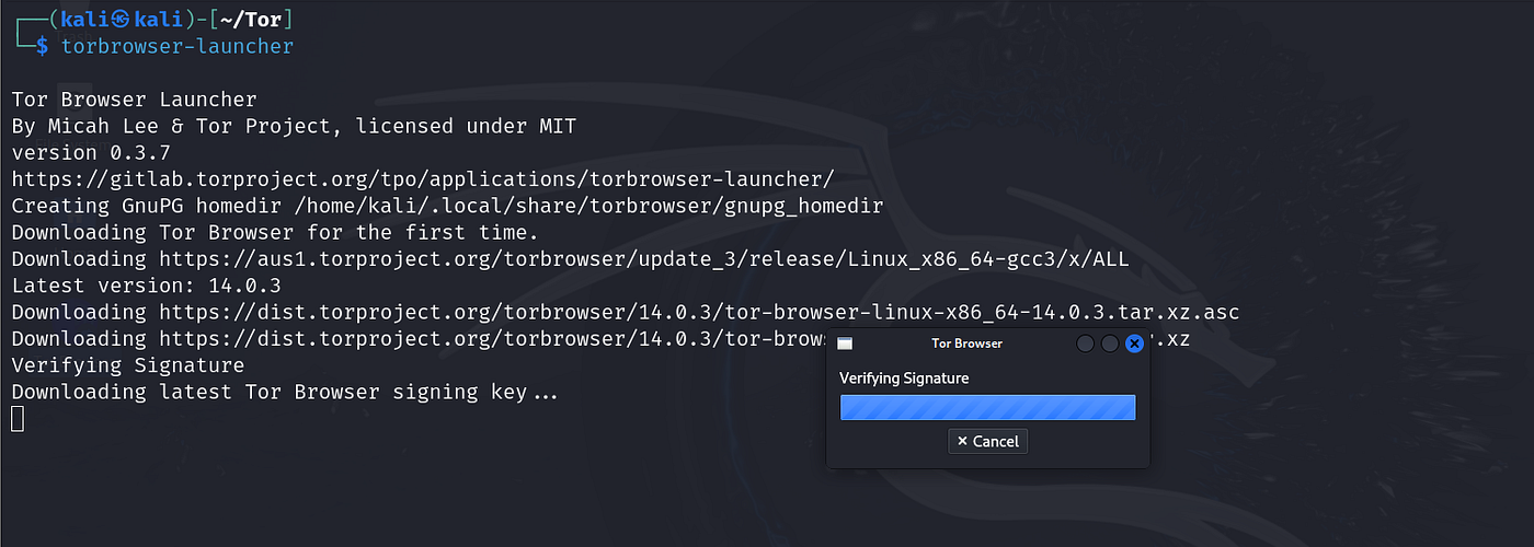 Install Tor Browser On Kali Linux 2021 Kali Linux Tutorial