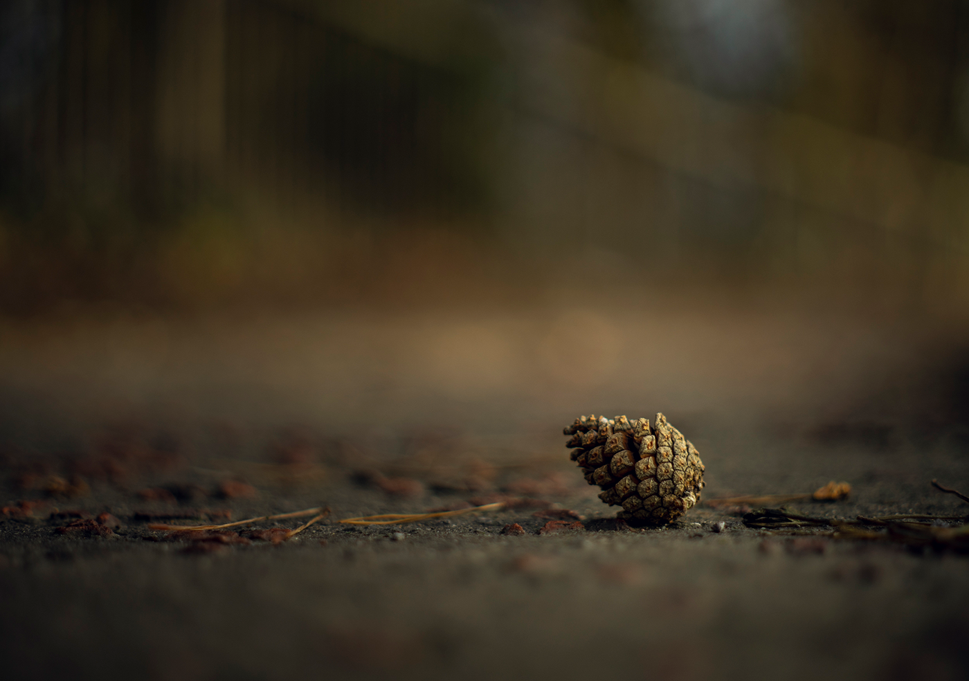 Subject Isolation Photography