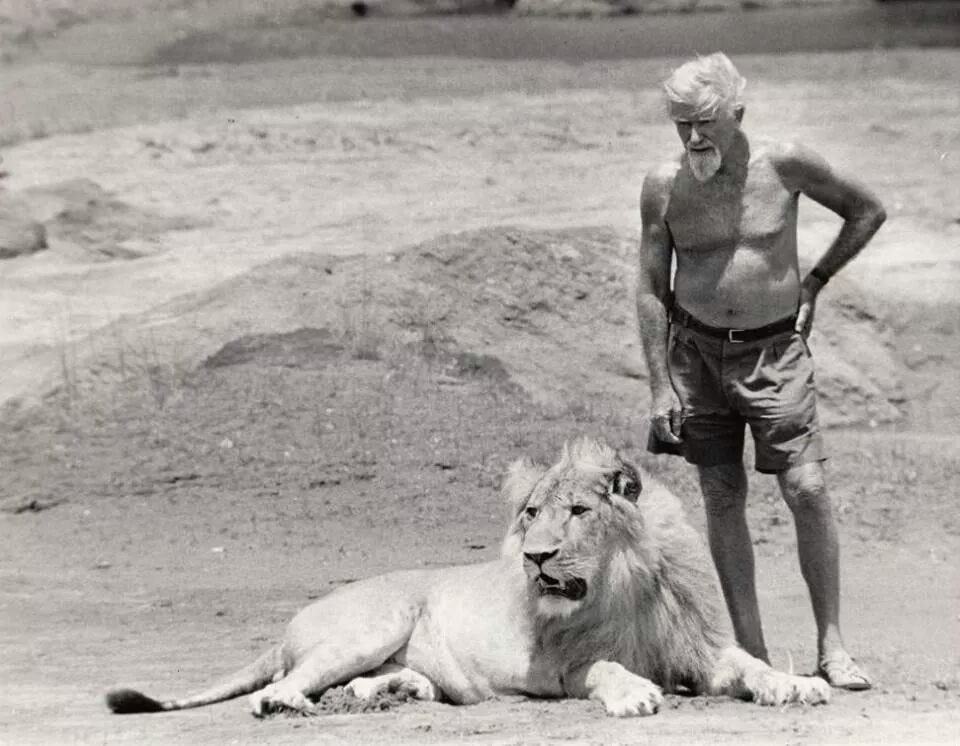 George Adamson Lion Man