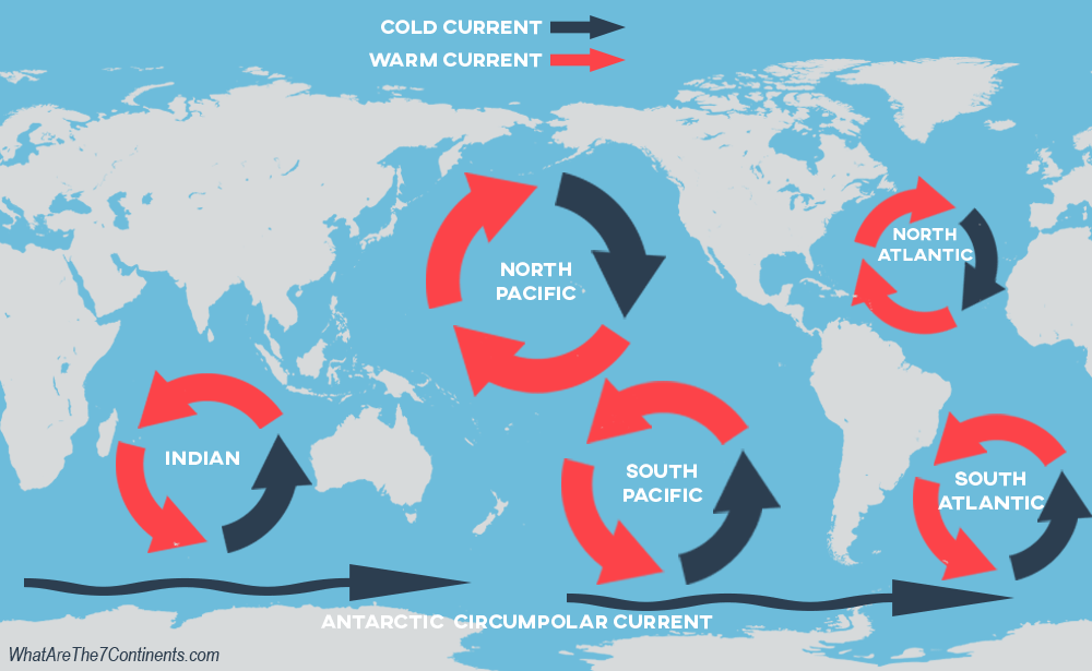 Plastic In The Ocean Documentary