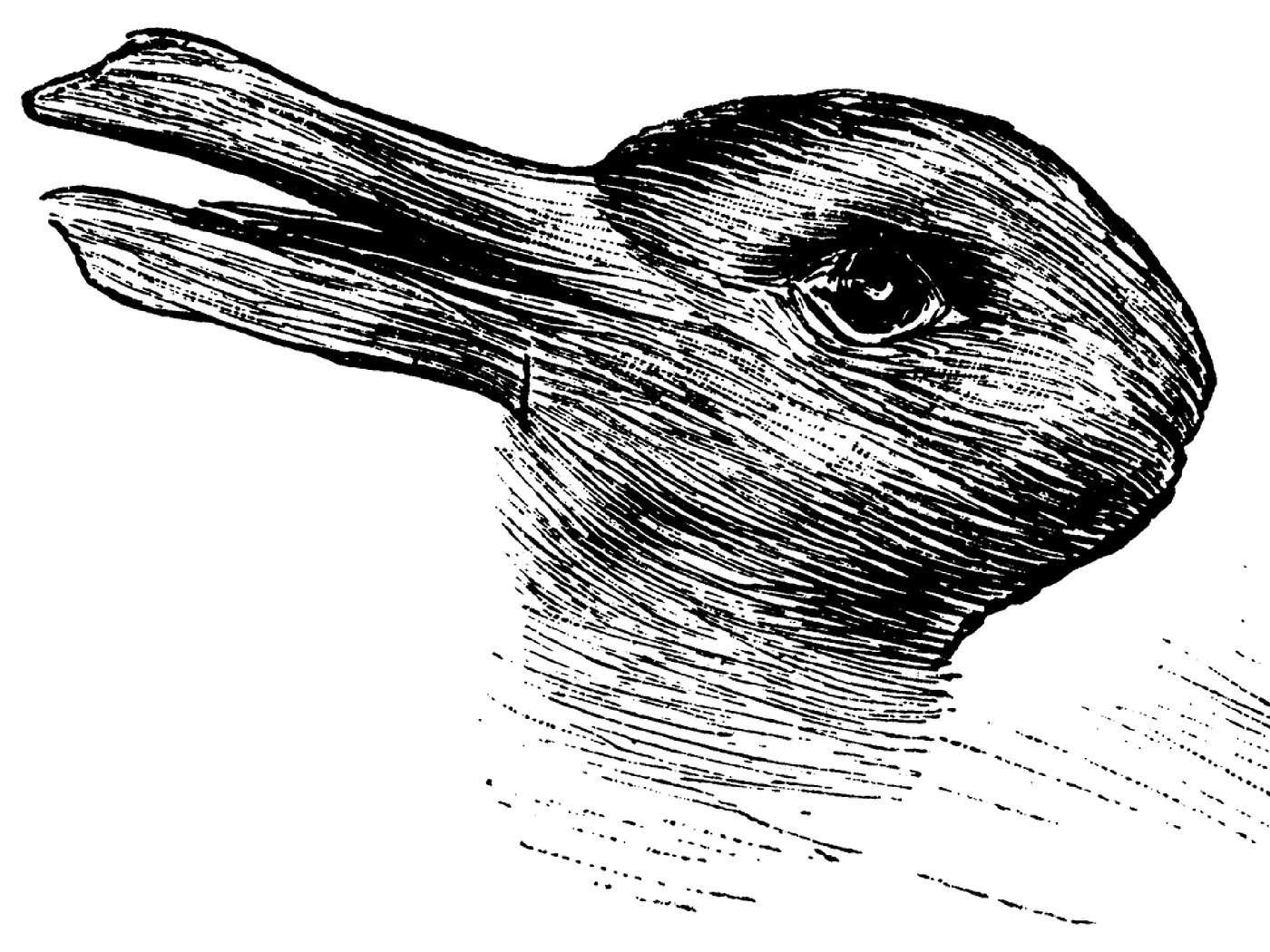 Optical Illusions In Real Life