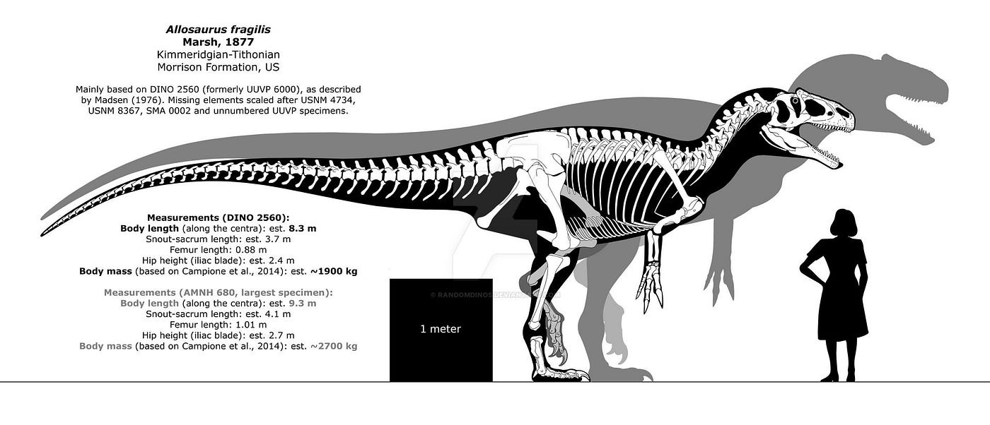 Walking With Dinosaurs Allosaurus Size