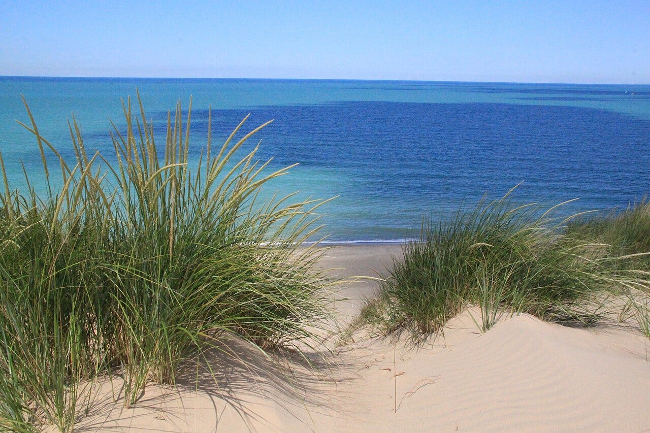 Indiana Sand Dune Ecosystem Indiana Dunes | History, National Park,