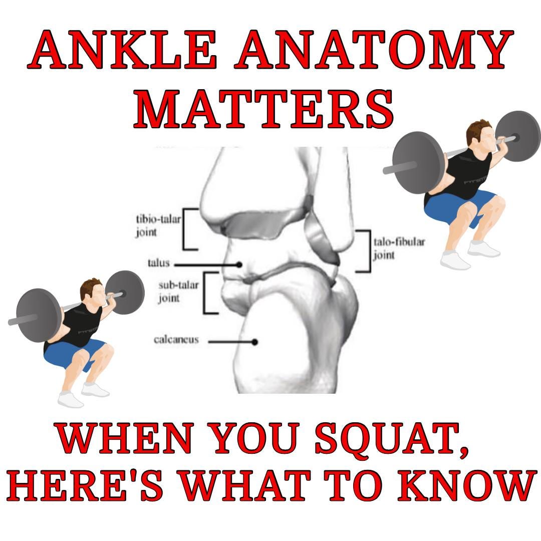 Squat Anatomy