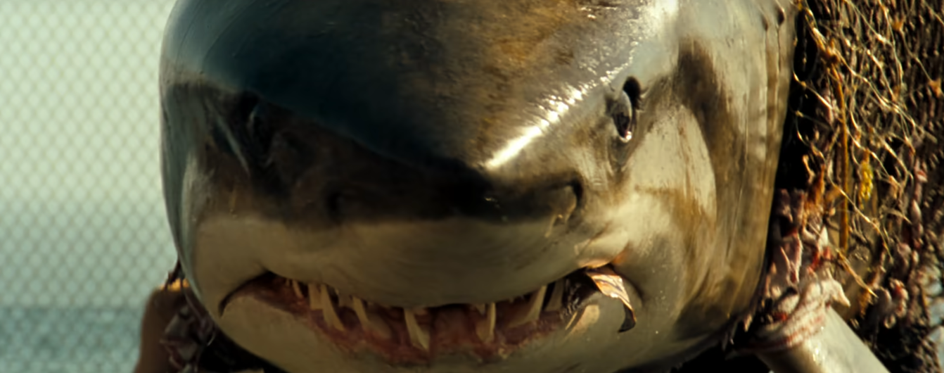 Deep Blue Sea Animatronic Shark