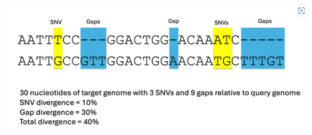 Dna Similarities Between Humans And Animals