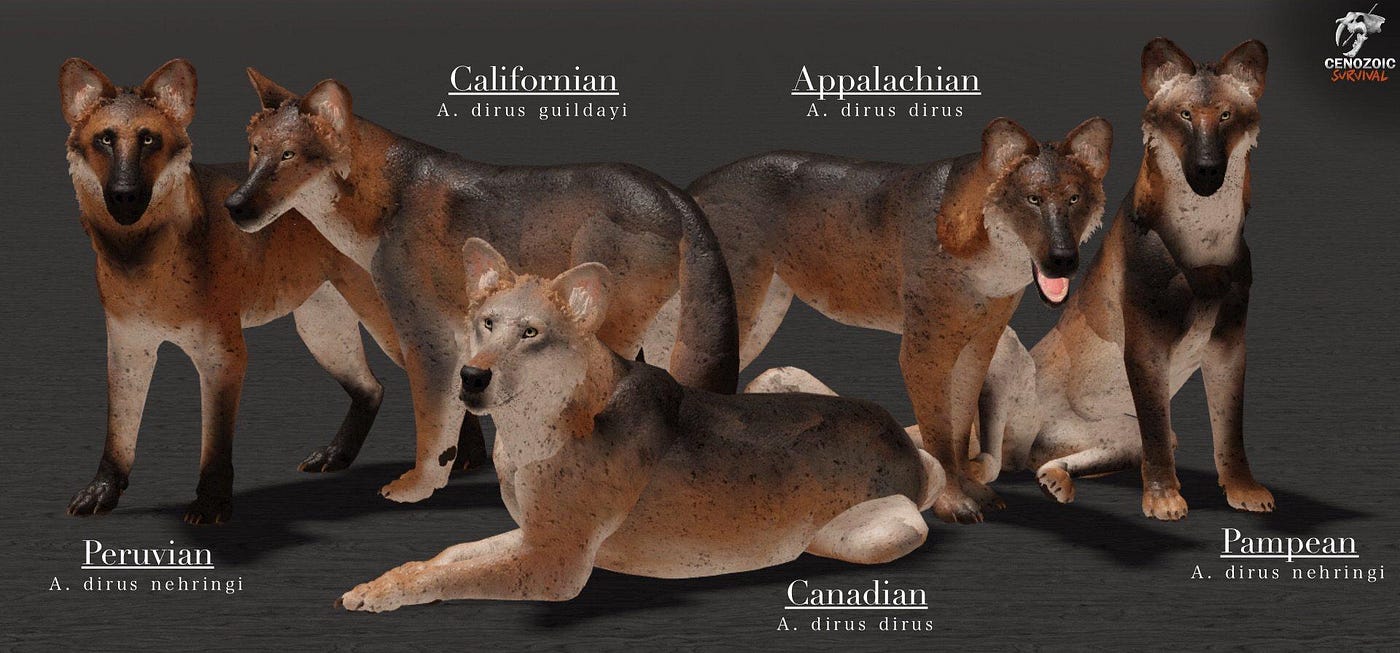 Dire Wolf Species
