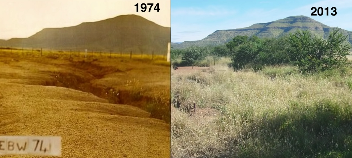 Desertification Before And After Letters From Jordan: 'Greening The