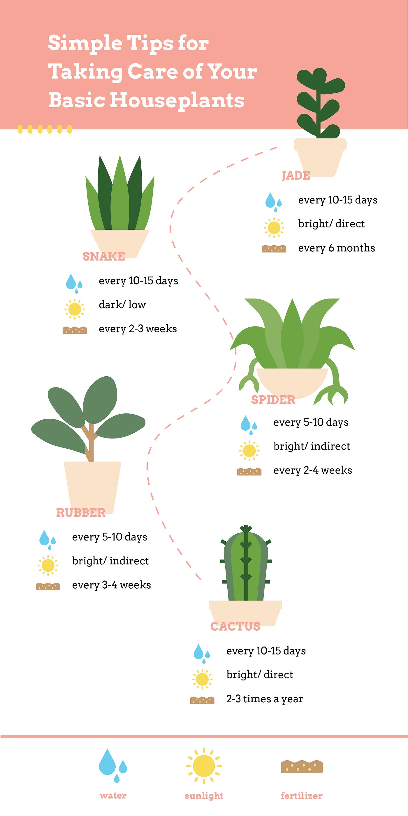 Steps on How to Take Care of Plants: Expert Tips for Thriving Greenery
