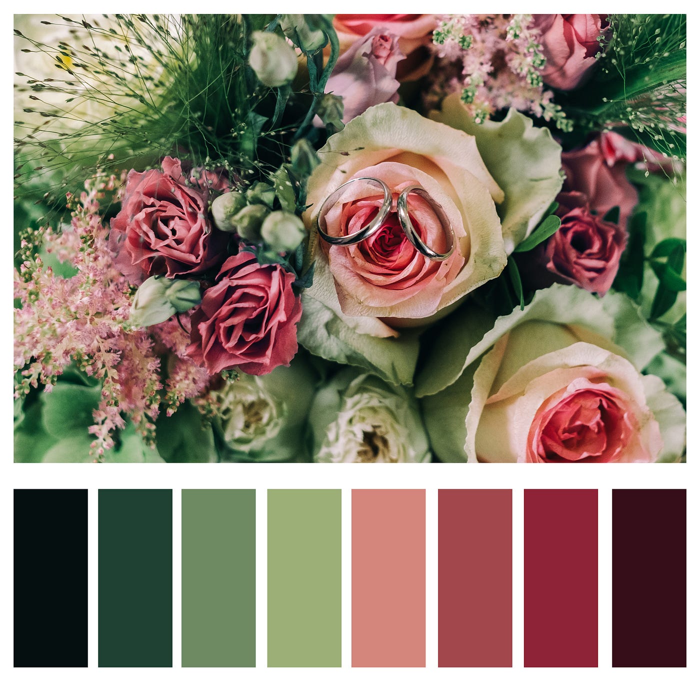 Examples Of Color In Photography