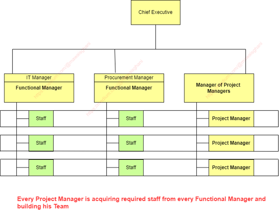 Project Management Structures Vs Functional Management