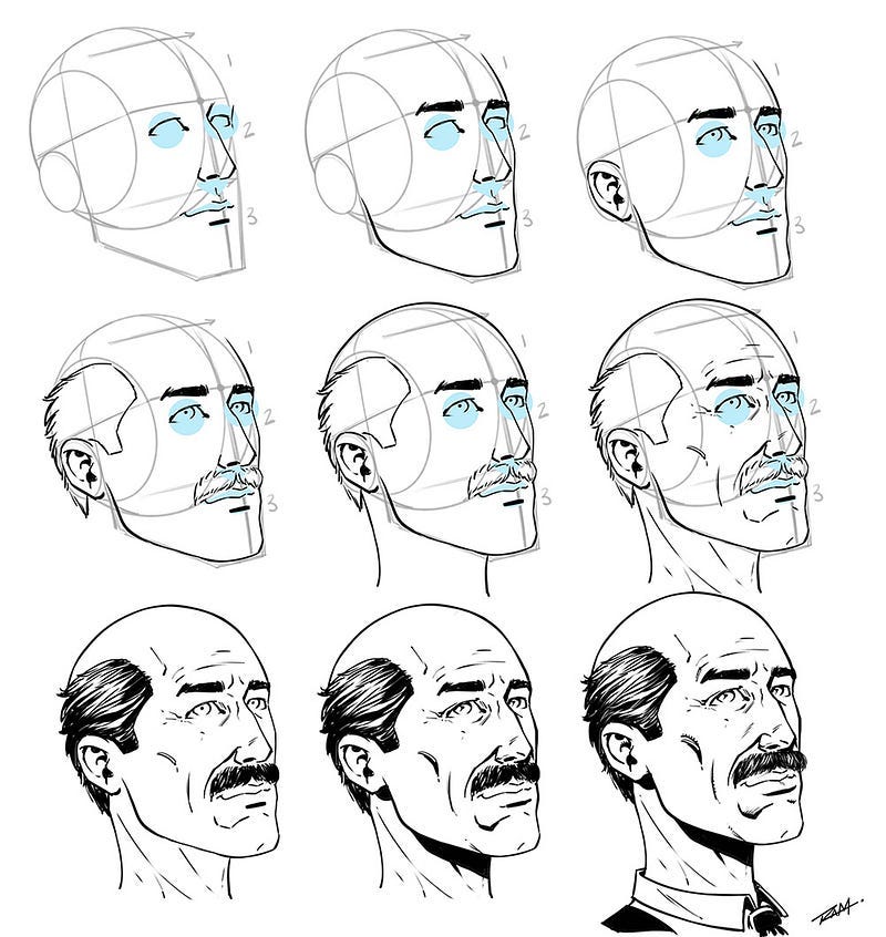 Face Proportions Loomis