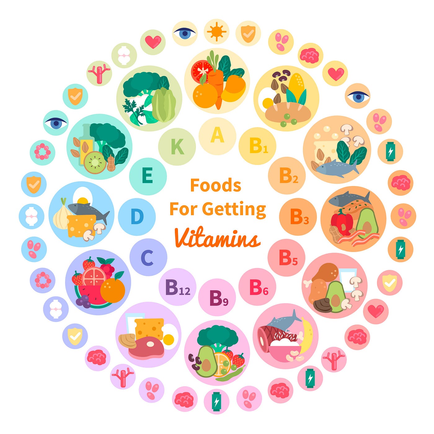 What Are The 13 Vitamins And Their Functions