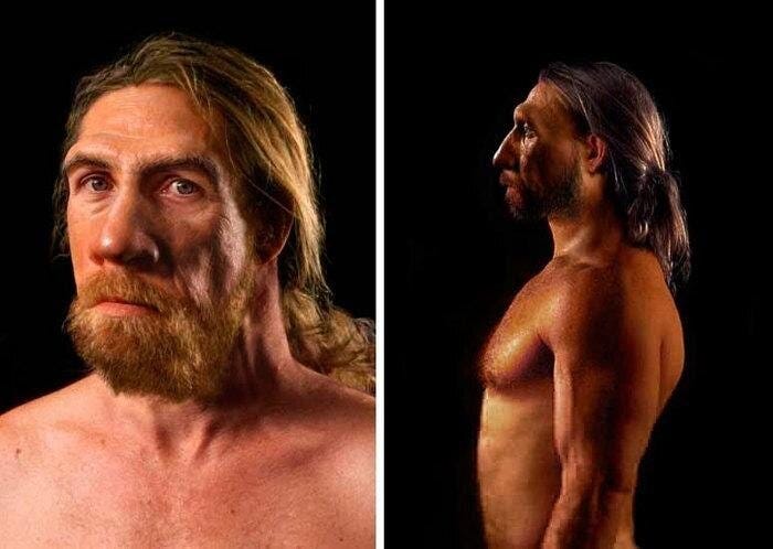 What Did Neanderthals Really Look Like