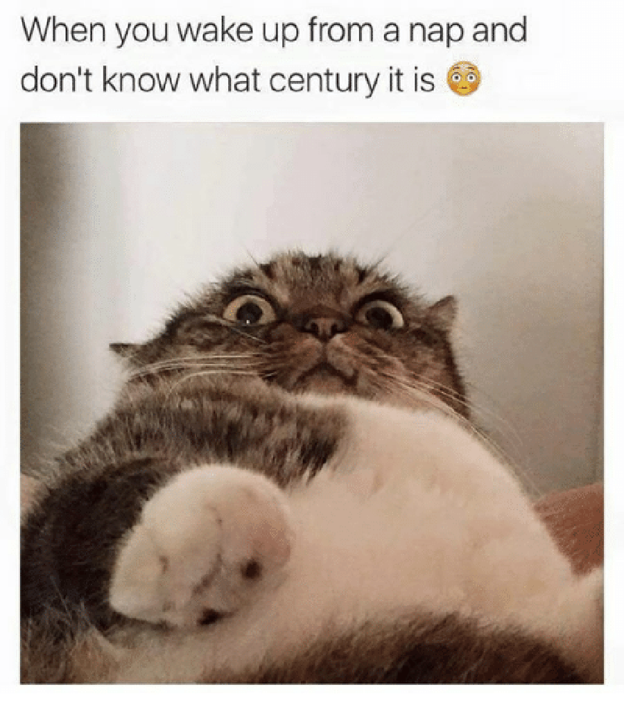 I Feel Like Death Meme