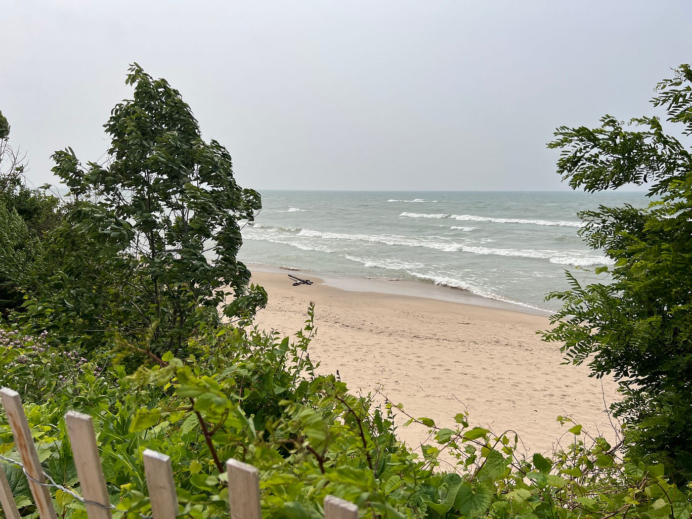 Lake Michigan Shore