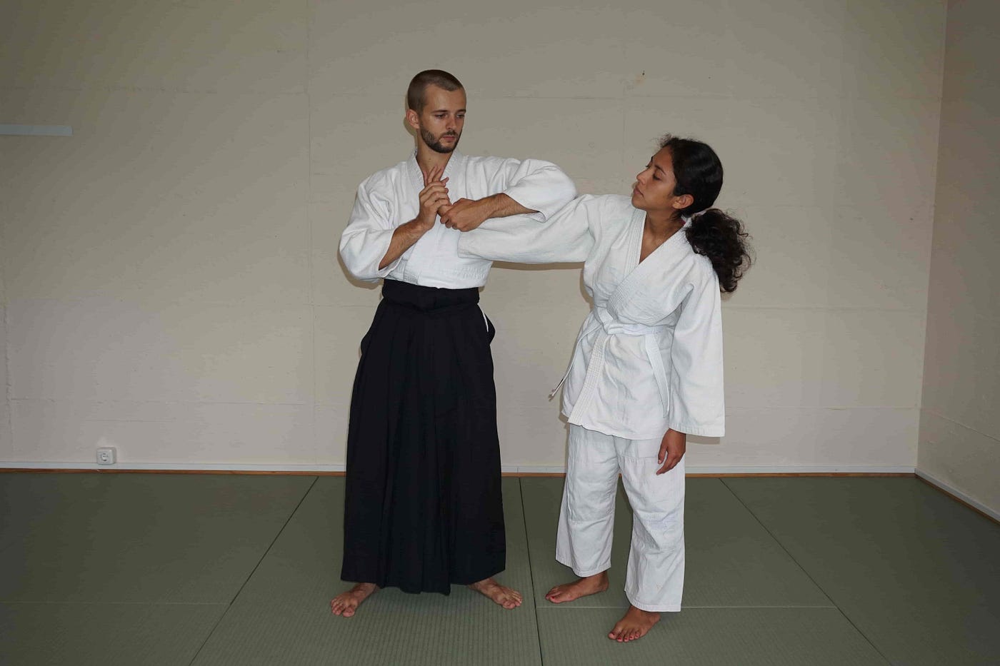 Aikido Techniques
