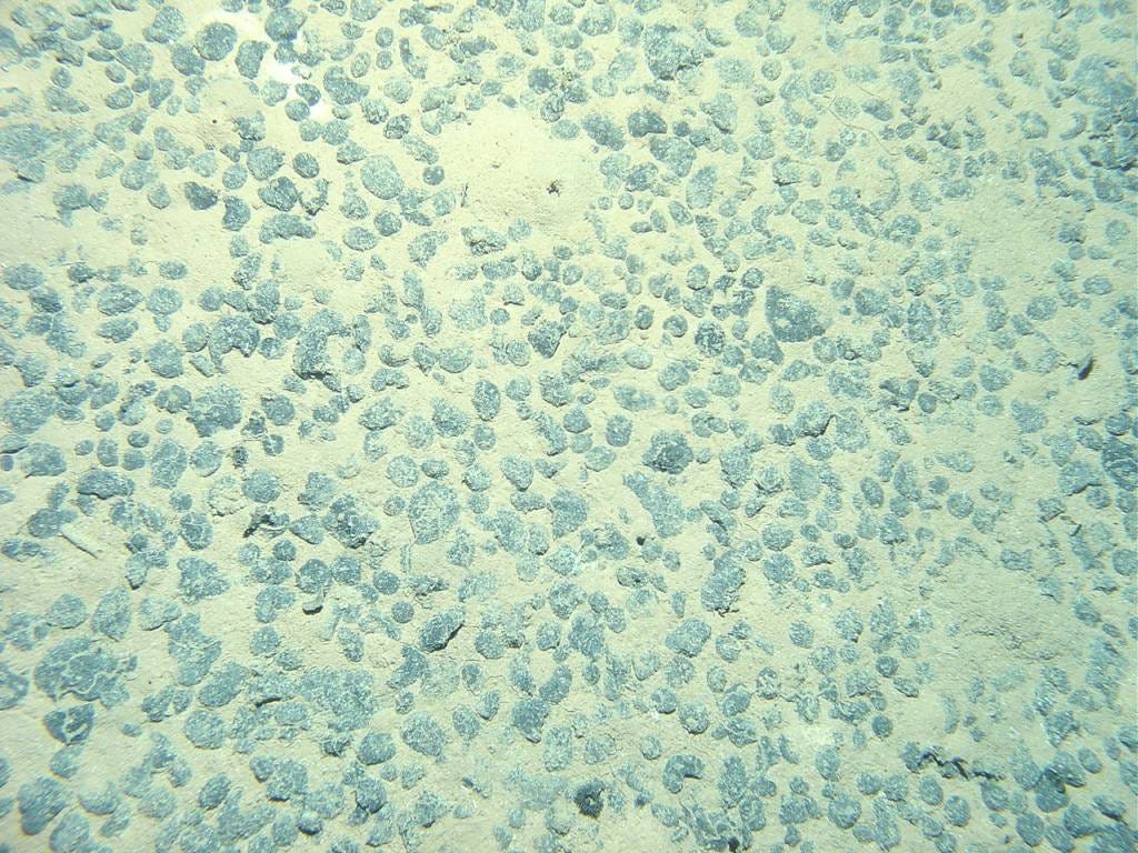 What Are Deep Sea Nodules