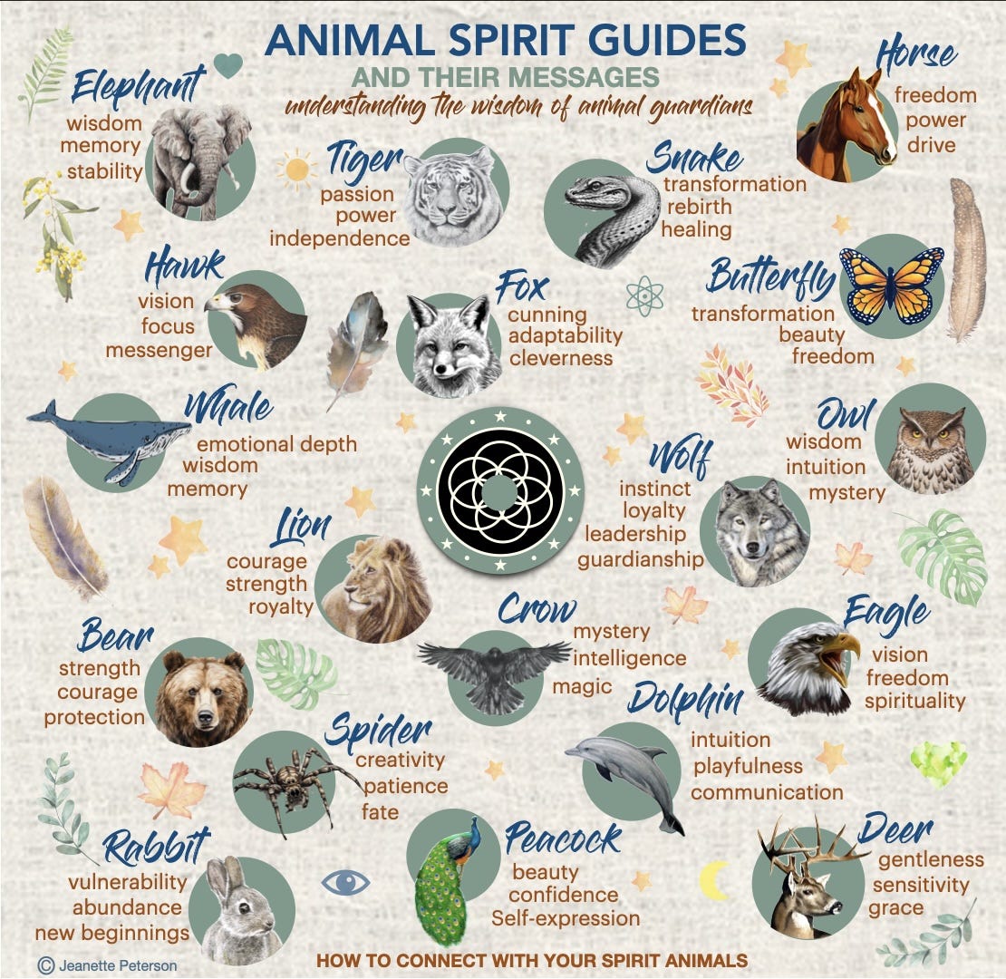 Top 11 Animals That Represent Peace The Ultimate Guide