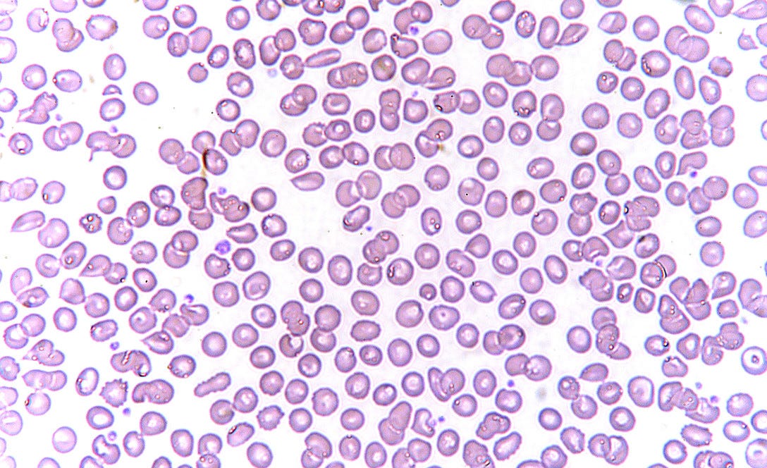 Cell Blob