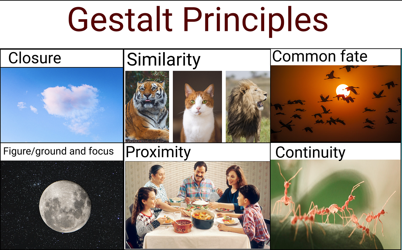 Gestalt Psychology Continuity