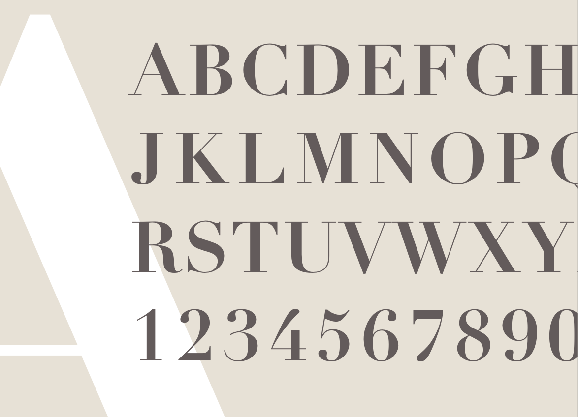 Didot Italic