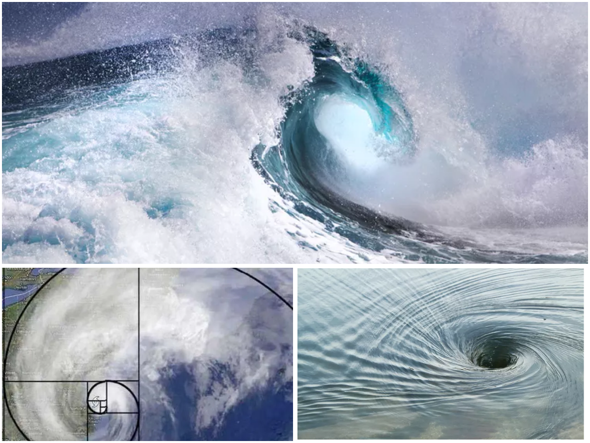 Fibonacci Spiral Water Fibonacci Spiral | Fibonacci Spiral, Spirals In