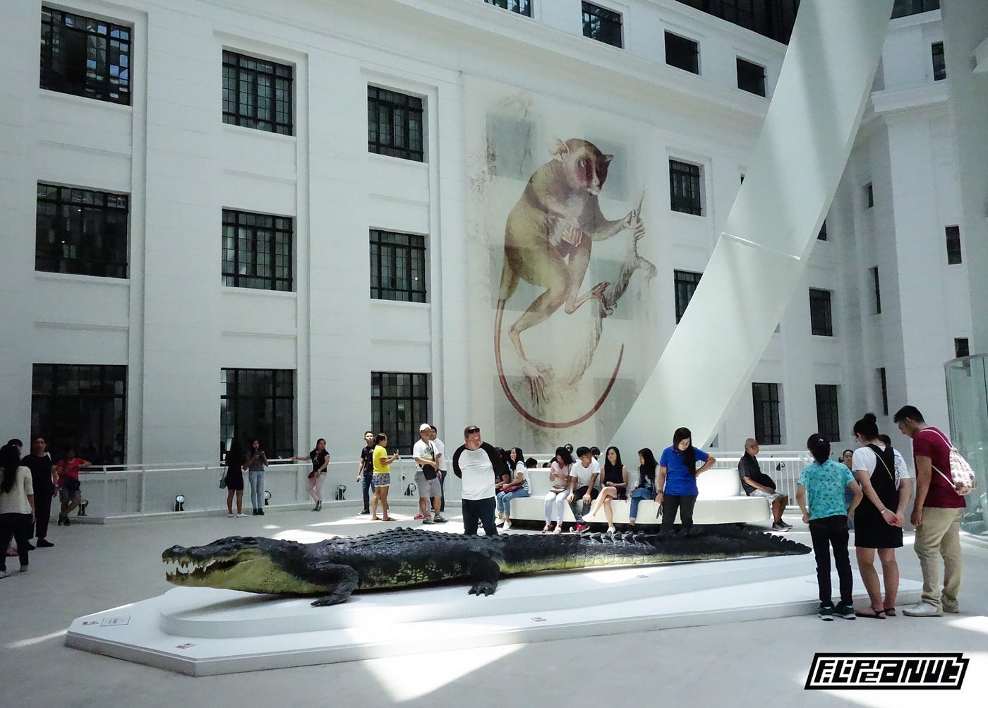 Lolong Crocodile Hunter