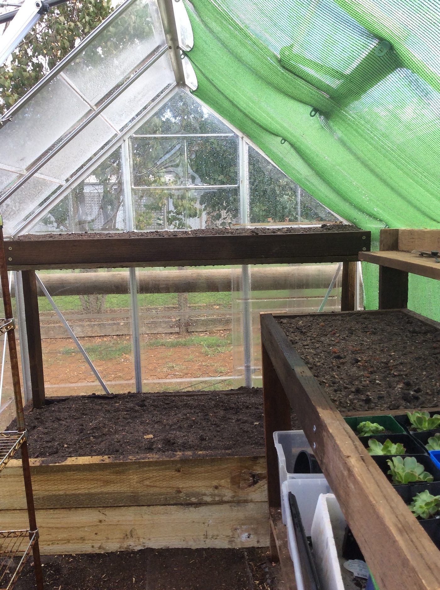 What Direction Should a Greenhouse Face: Expert Insights - My Backyard Grow