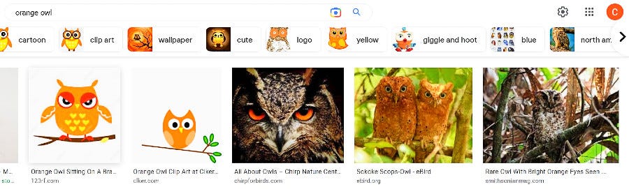 Orange Owls Clipart