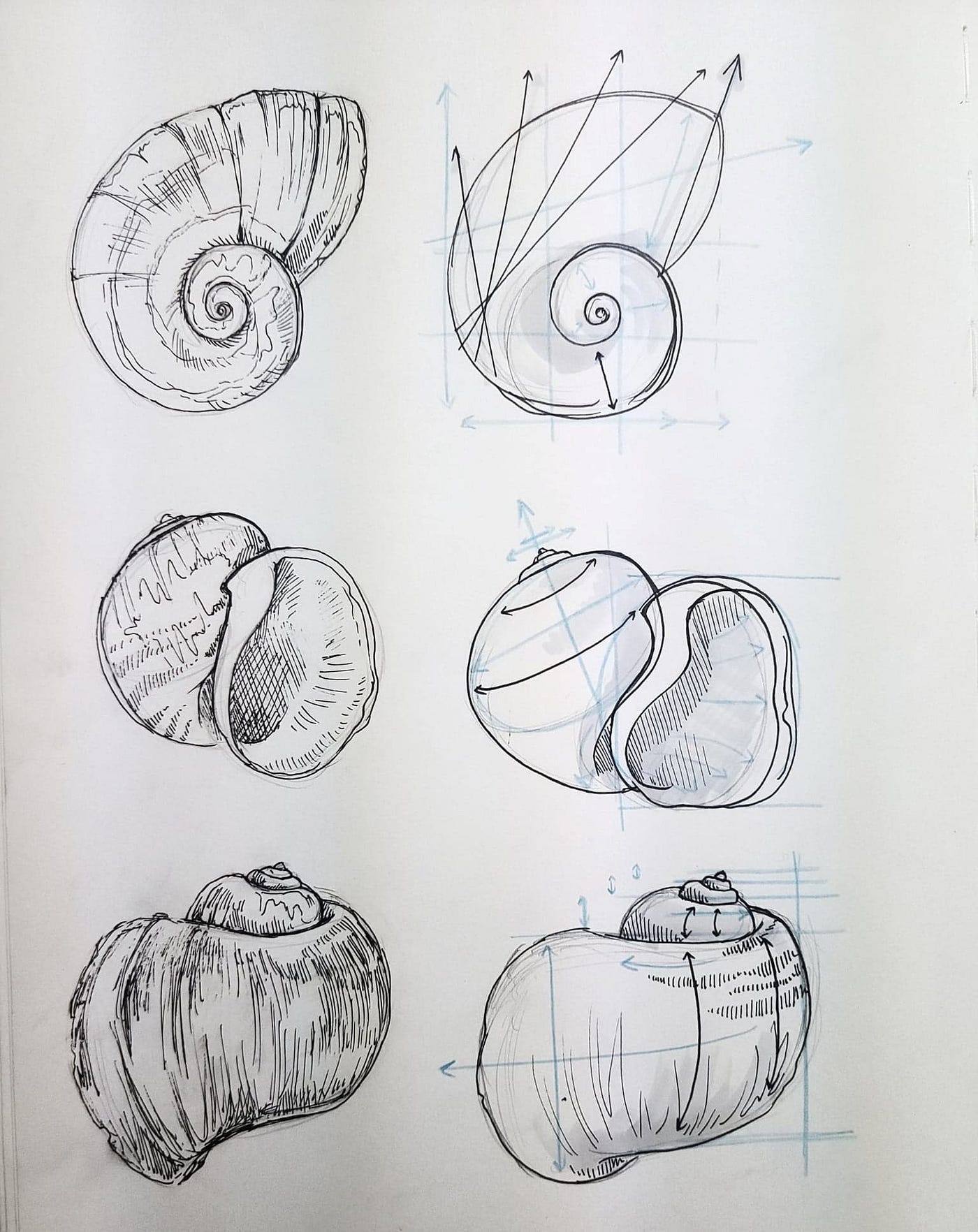 To Learn To Sketch Art Clay