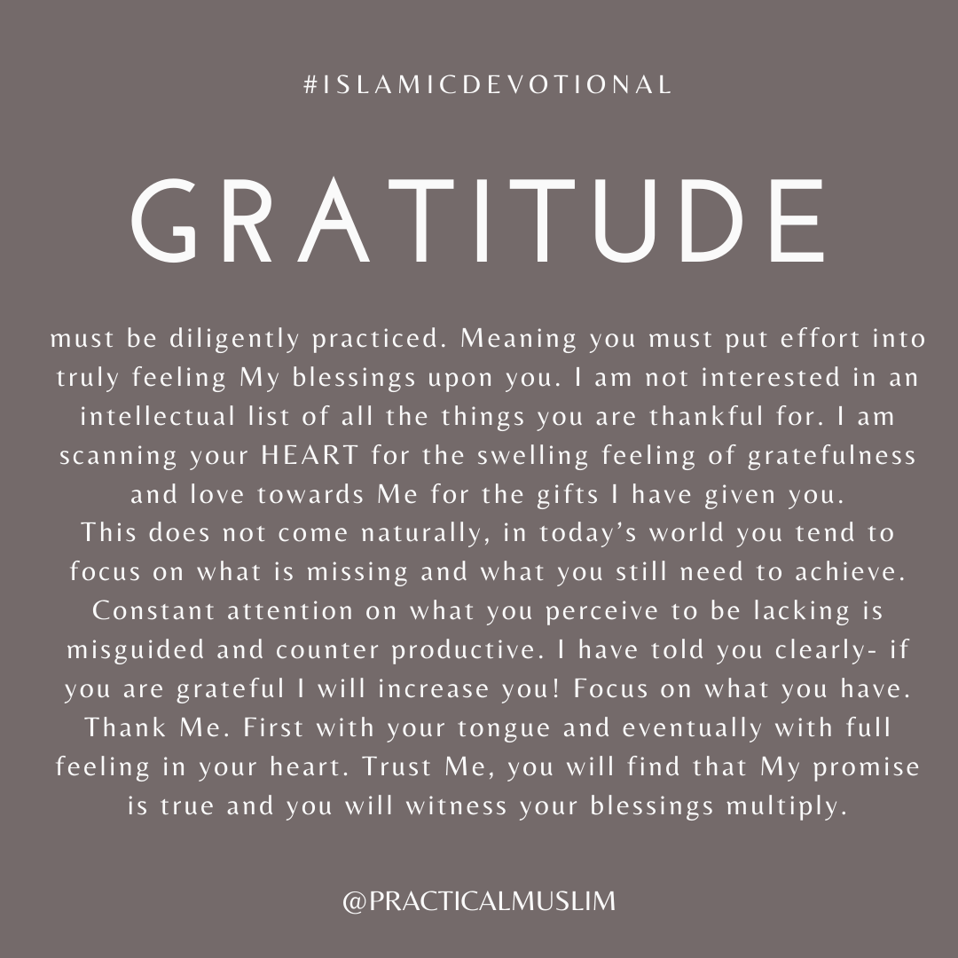 Gratitude Islamic Quotes