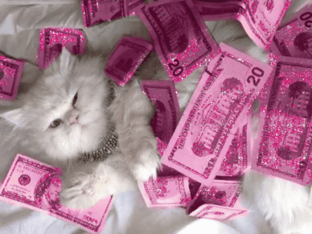 Cat With Money Gif