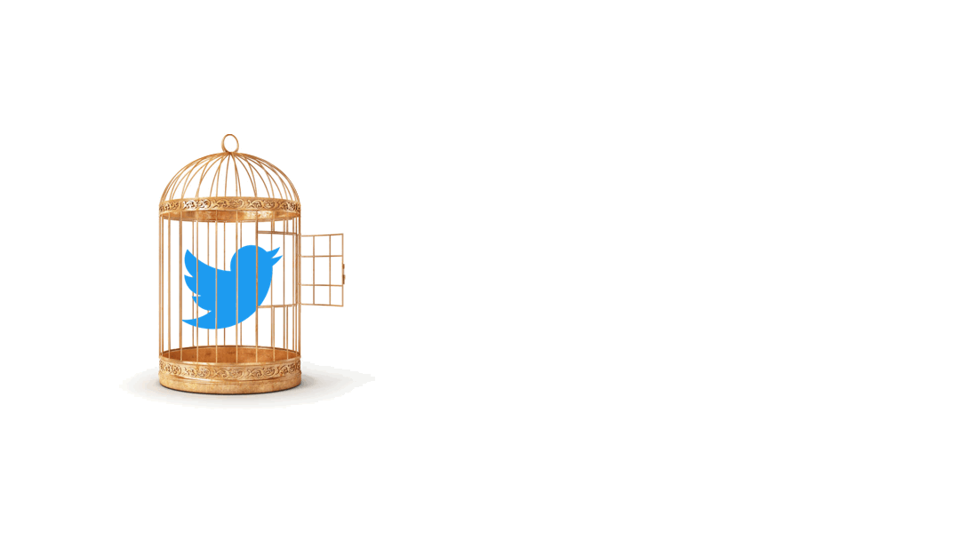 Twitter Bird Logo Gif