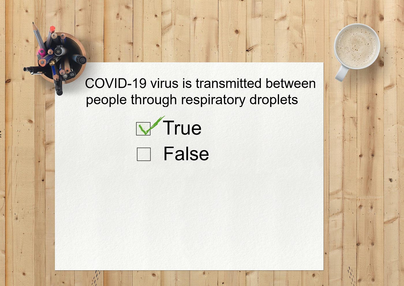 True Or False Questions