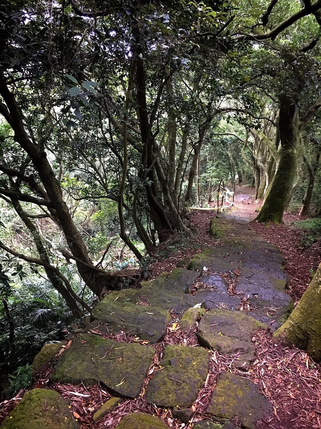 Vestiges Of Kurakura Erziping Yangmingshan National