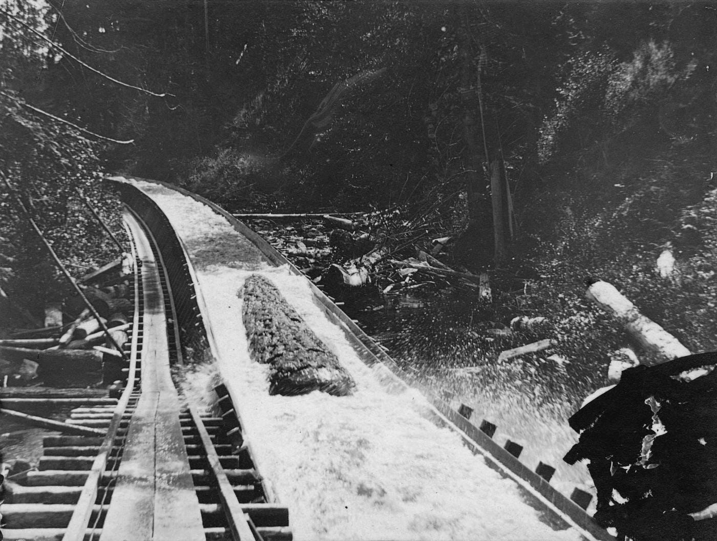 Logging Flume Pictures
